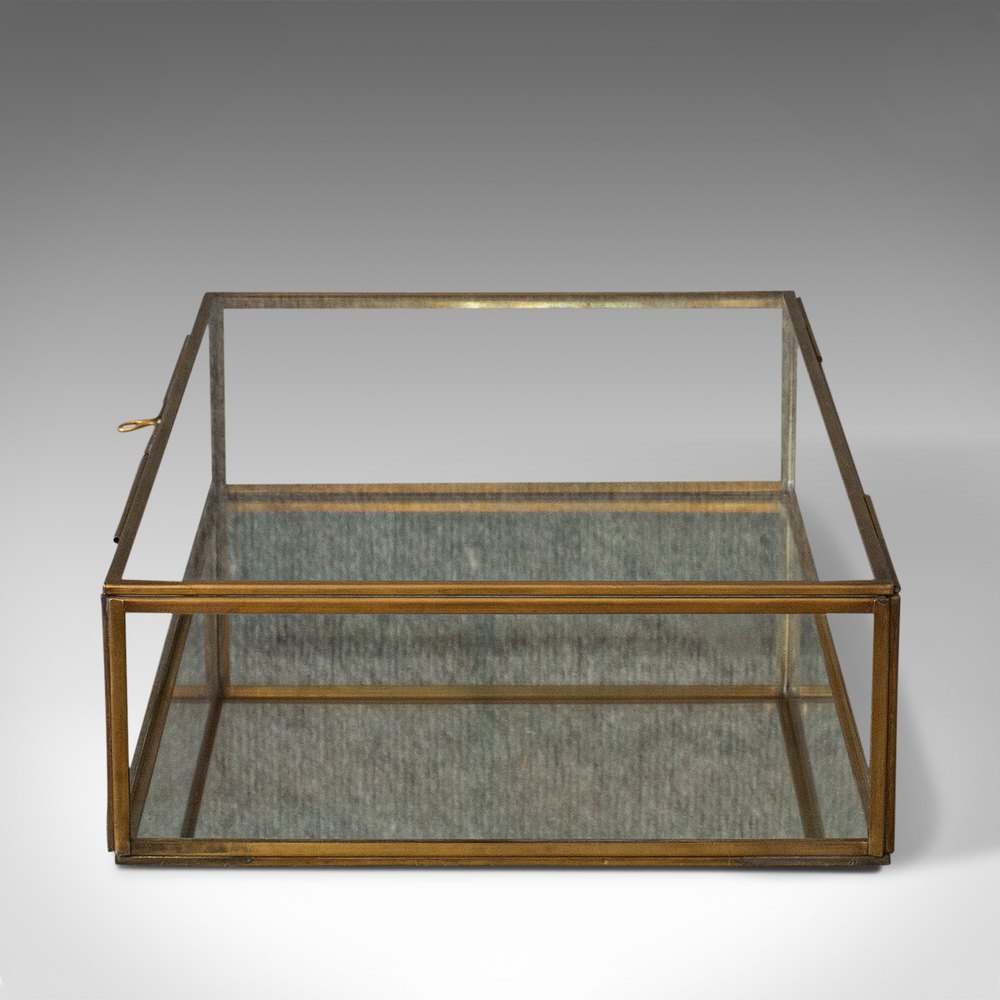 Antiques Atlas - Vintage Display Box, English, Brass, Glass,