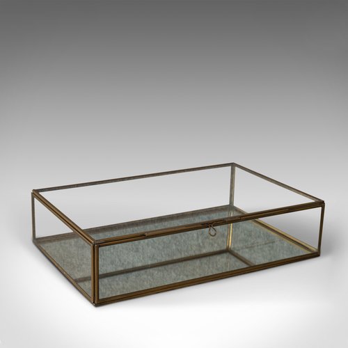 Antiques Atlas - Vintage Glass Display Case, Brass, Circa 1980 ...