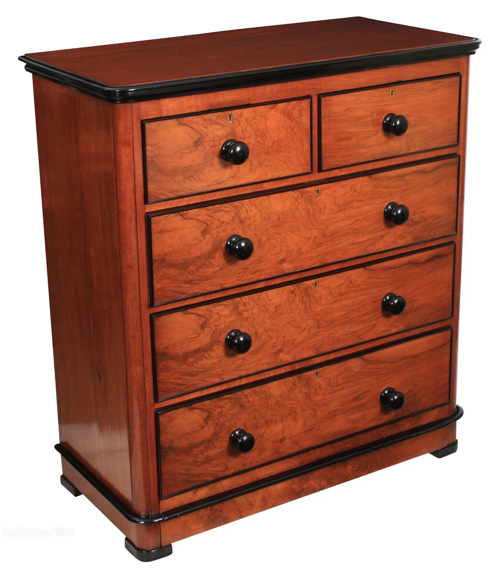 Victorian Walnut Ebonised Chest Of Drawers - Antiques Atlas