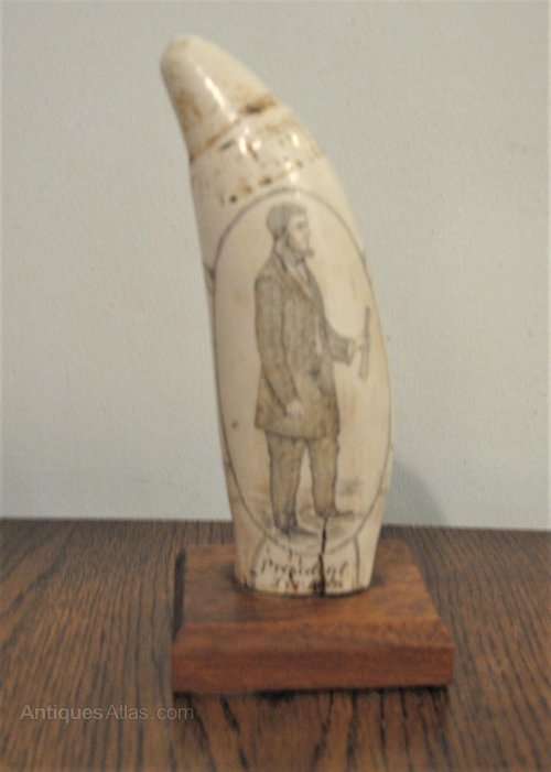 Antiques Atlas - Scrimshaw