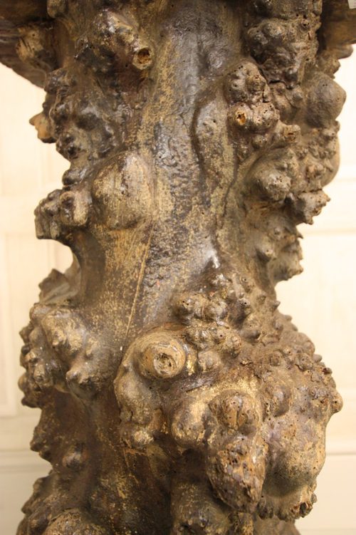 Antique Grotto Burr Wood Stand/Side Table. - Antiques Atlas