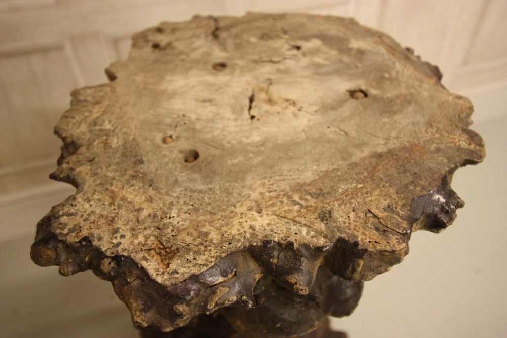 Antique Grotto Burr Wood Stand/Side Table. - Antiques Atlas