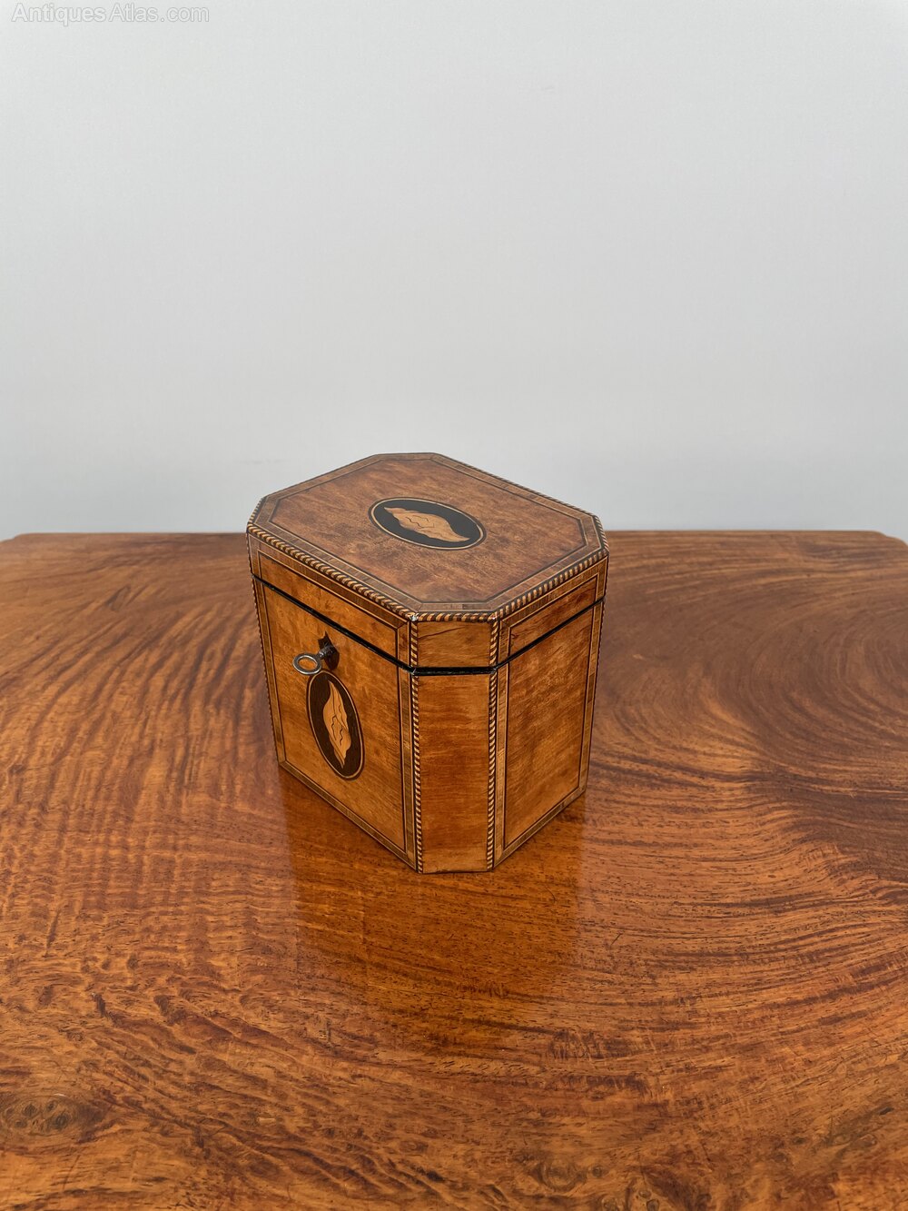 Antiques Atlas - Georgian Octagonal Single Tea Caddy C1795 as1054a230