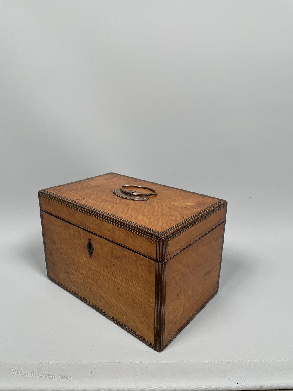 Antiques Atlas - Georgian Satinwood Tea Chest C1810 as1054a243