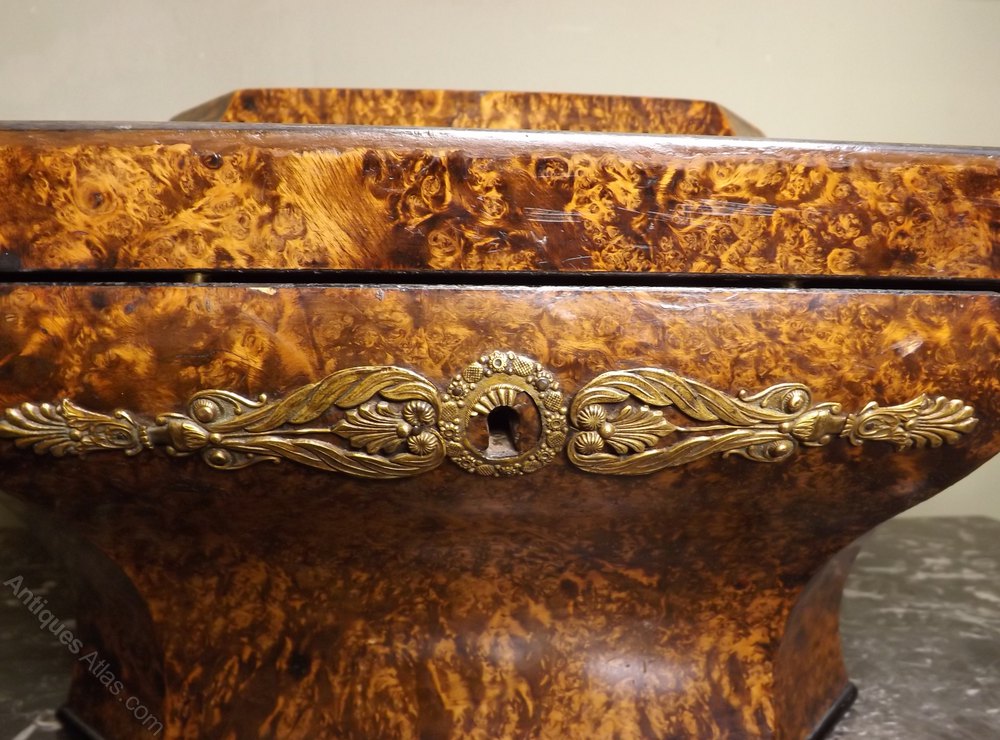 Antiques Atlas - Large 19th C Burr Mulberry Box