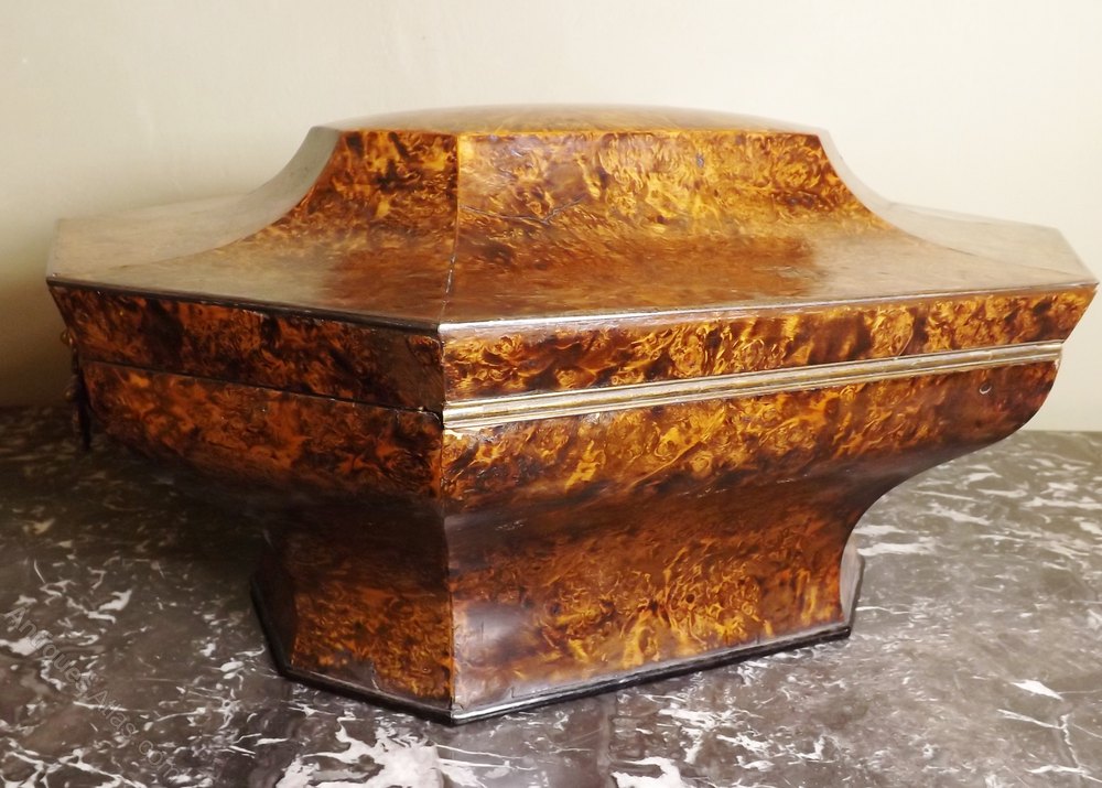 Antiques Atlas - Large 19th C Burr Mulberry Box