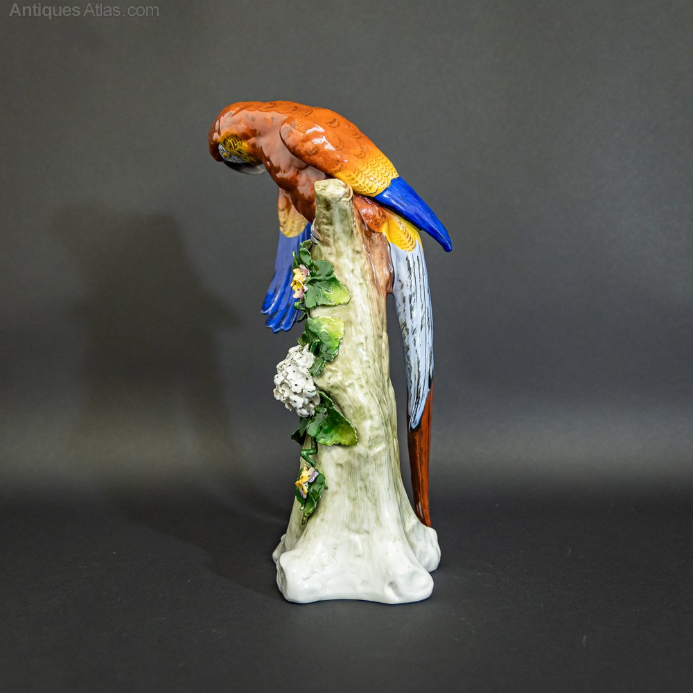 Antiques Atlas - Early 20th Century Sitzendorf Parrot
