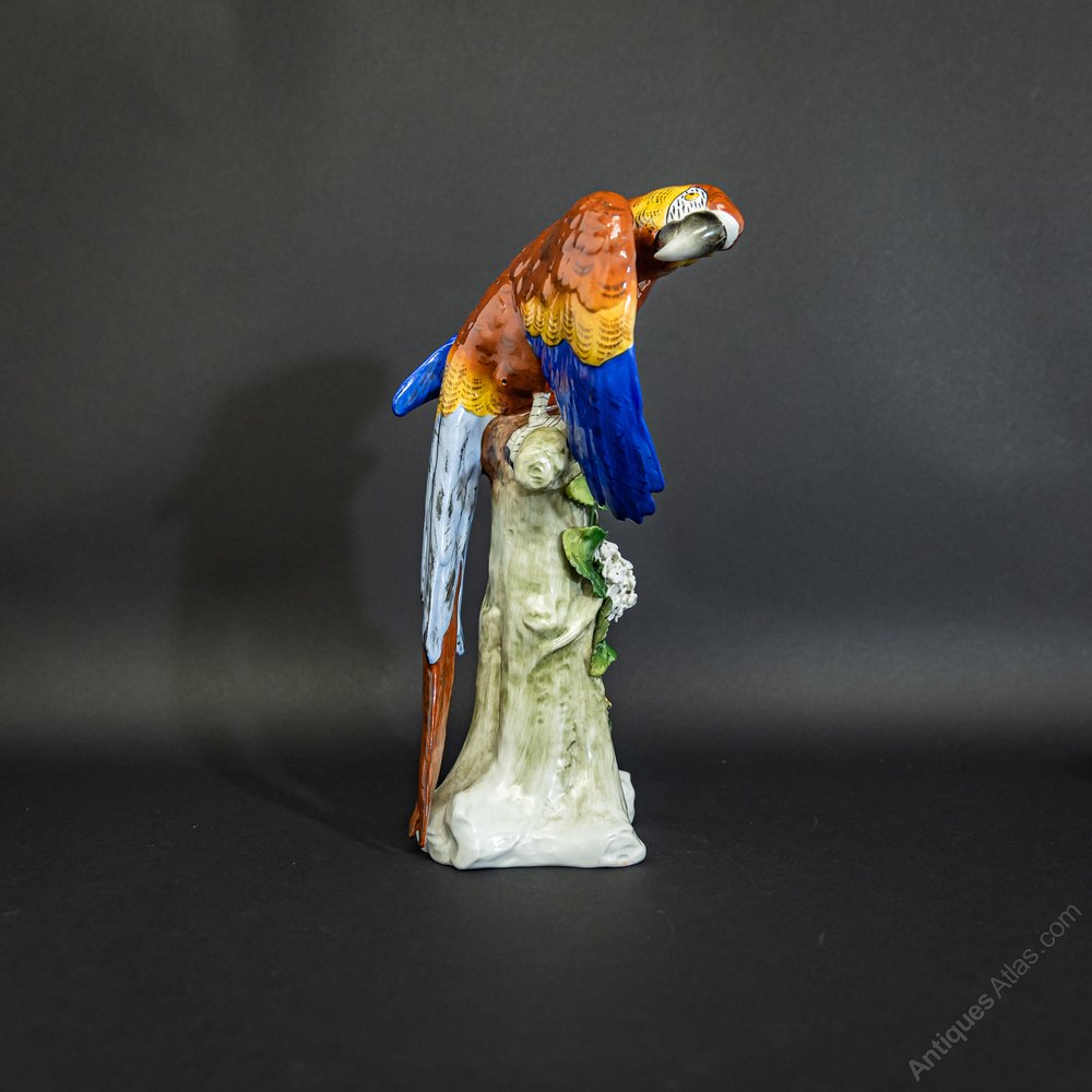 Antiques Atlas - Early 20th Century Sitzendorf Parrot