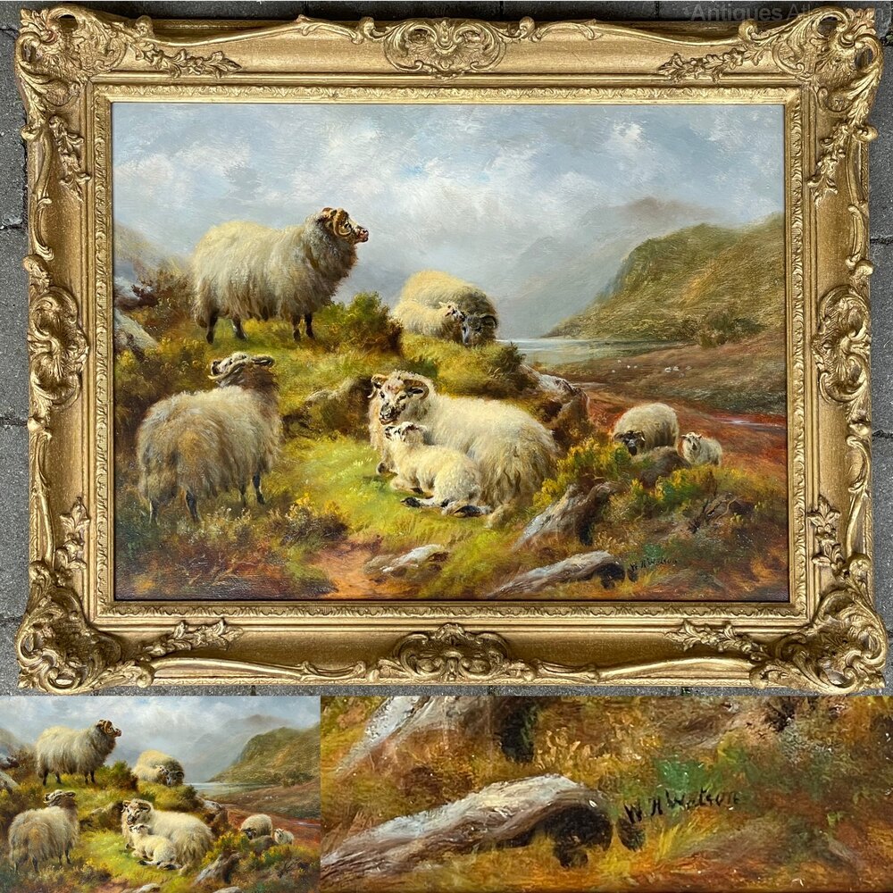 Antiques Atlas - Highland Sheep Oil Painting By William H Watson as824a2761