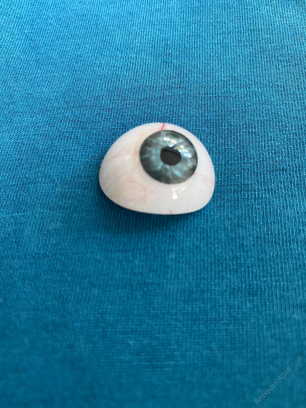 Antiques Atlas - Human Prosthetic Eye - Blue