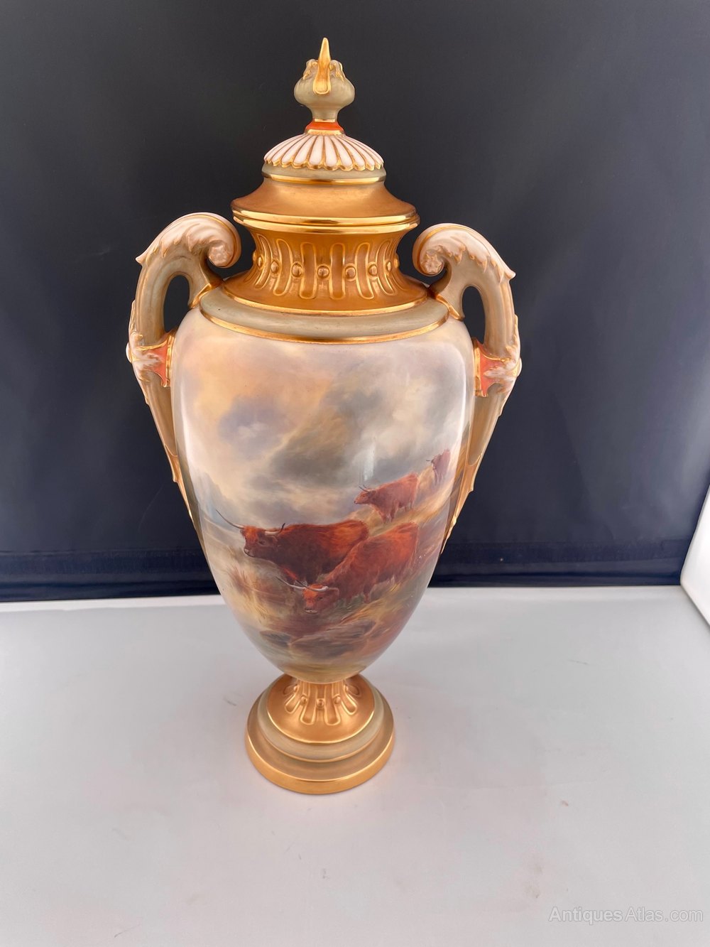 Antiques Atlas - Royal Worcester Cattle Vase Signed John Stinton as805a122
