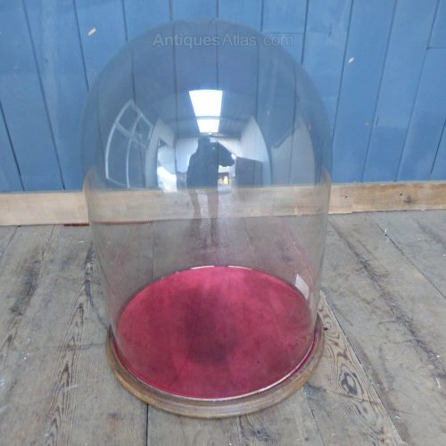 Extra Large Glass Dome Display - Glass Designs