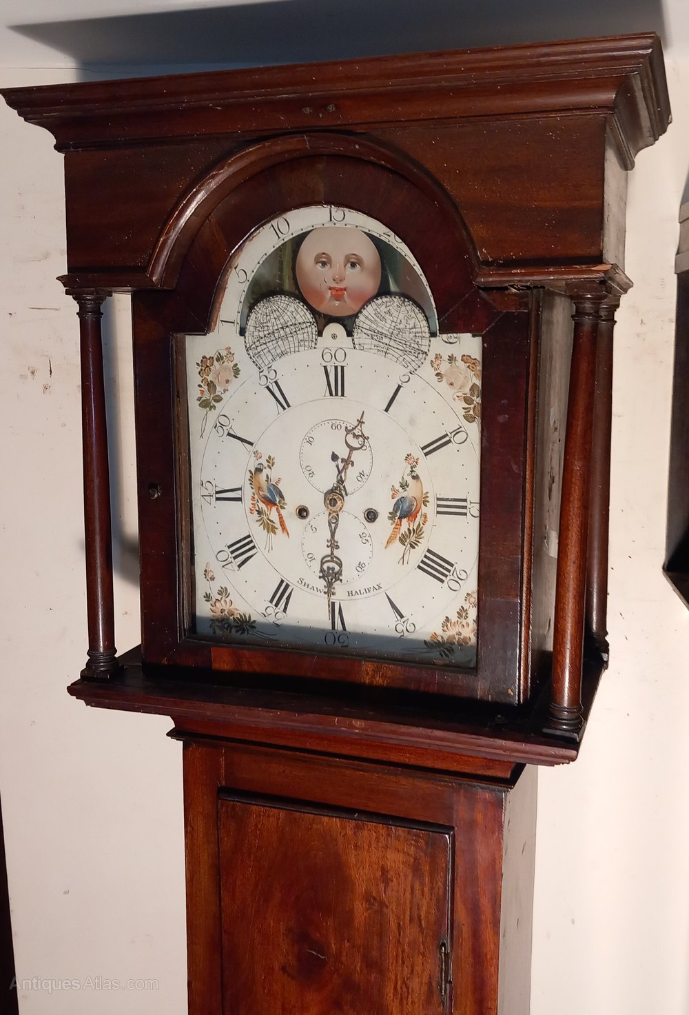 Antiques Atlas - ANTIQUE MOON PHASE LONGCASE / GRANDFATHER CLOCK