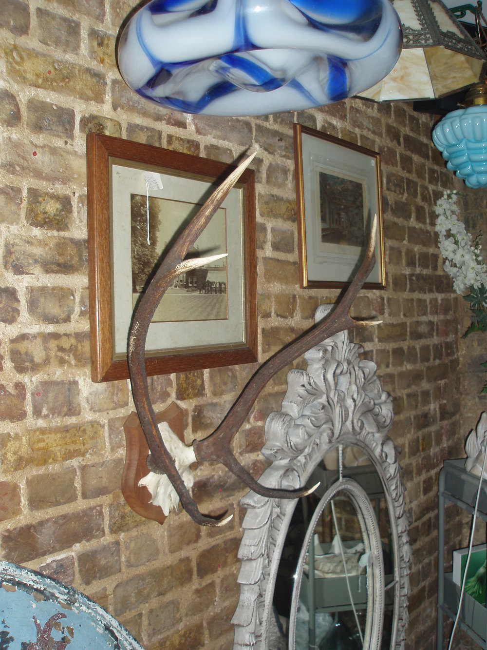 Antiques Atlas - 6 Point Stag Horns On Wood Plaque