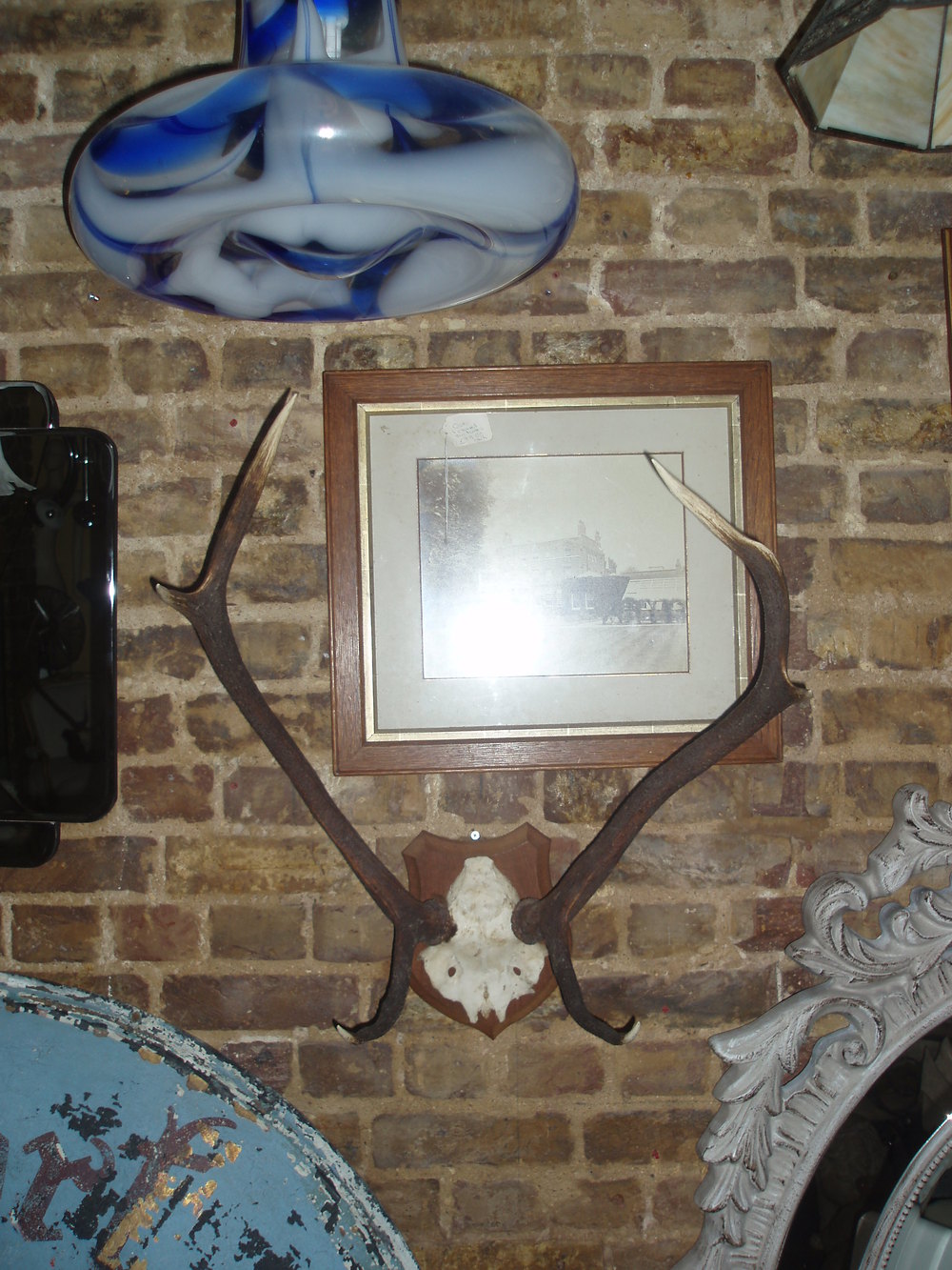 Antiques Atlas - 6 Point Stag Horns On Wood Plaque