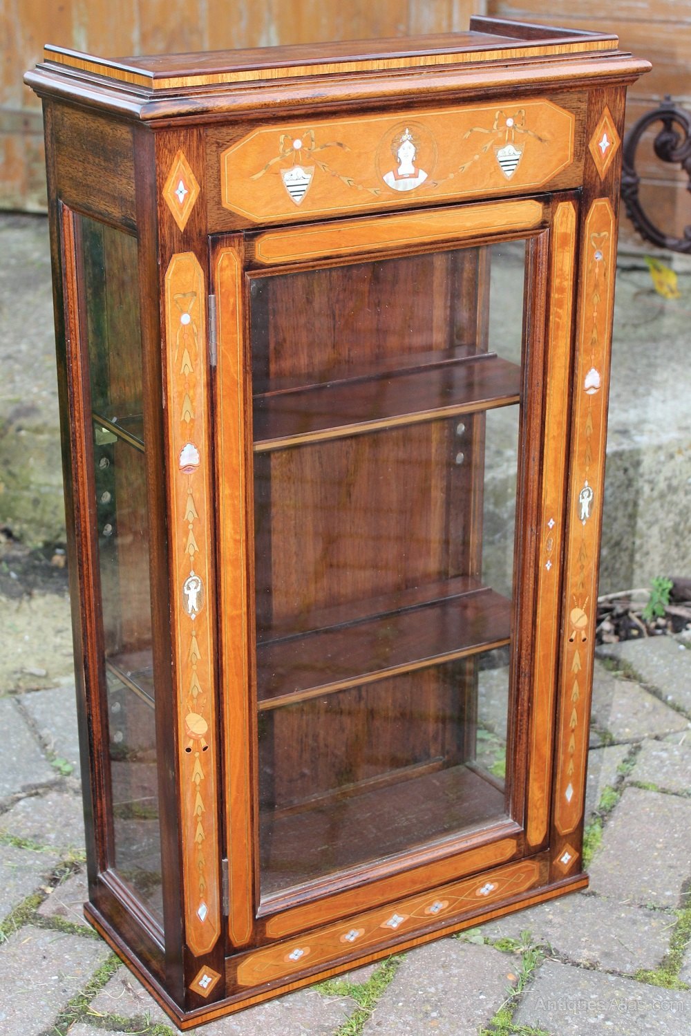 Wall Collectors Cabinet - Antiques Atlas