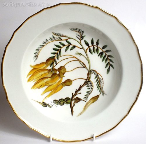 Antiques Atlas - A Very Fine Pair Derby Porcelain Botanical Dessert