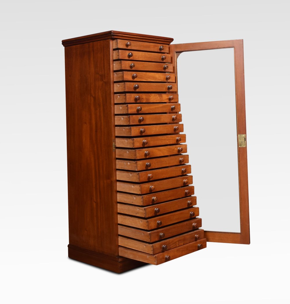 Mahogany Collectors Cabinet - Antiques Atlas