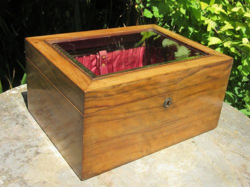 Antiques Atlas - Antique Glass-topped Display Box C1860