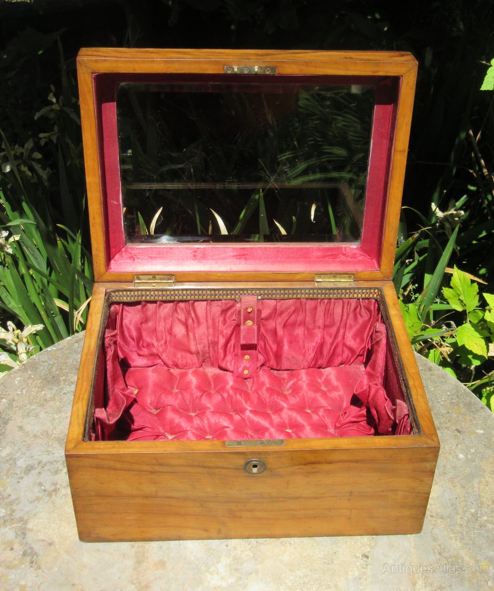 Antiques Atlas - Antique Glass-topped Display Box C1860