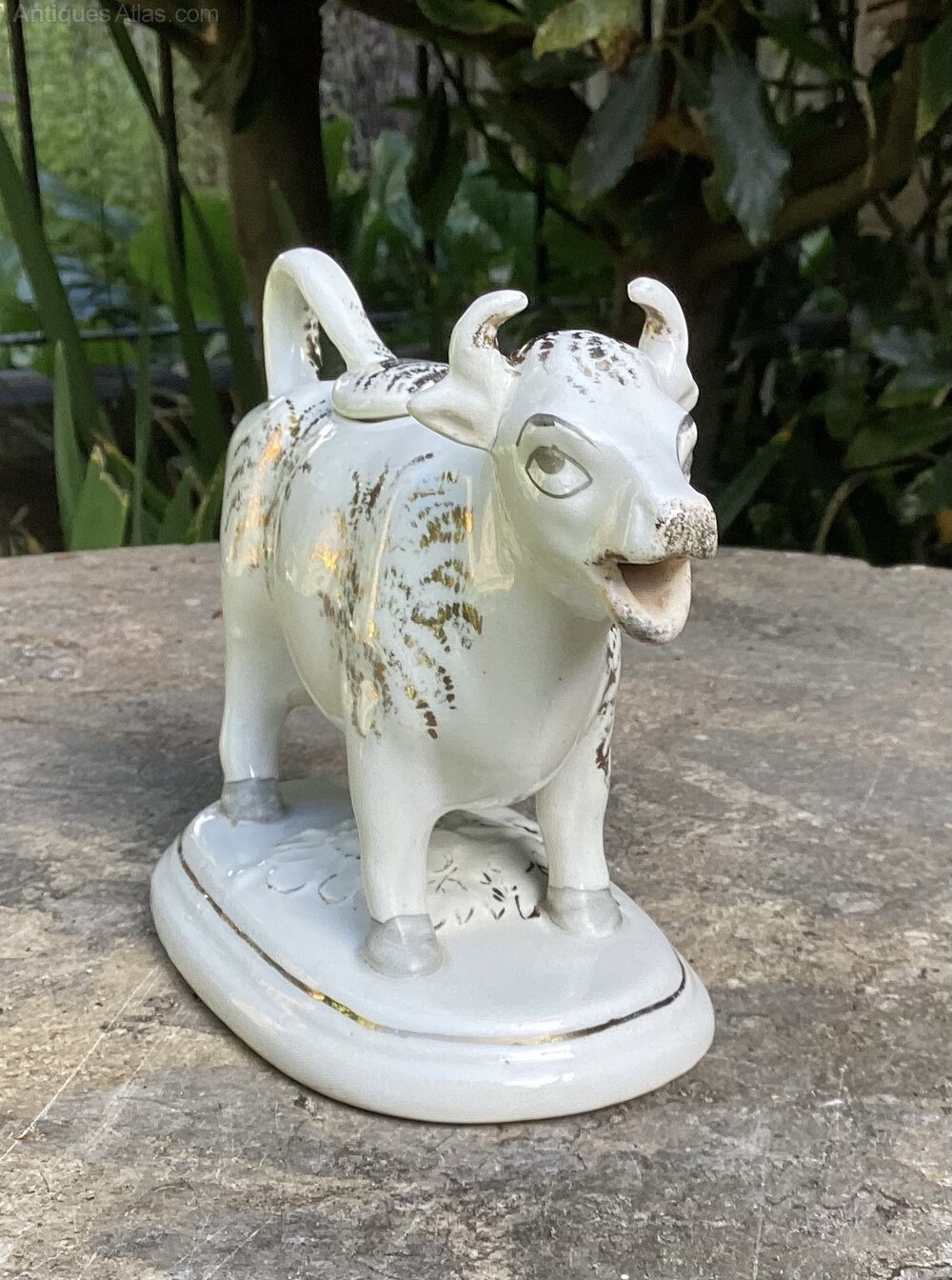 Antiques Atlas - English Pottery Cow Creamer C1880