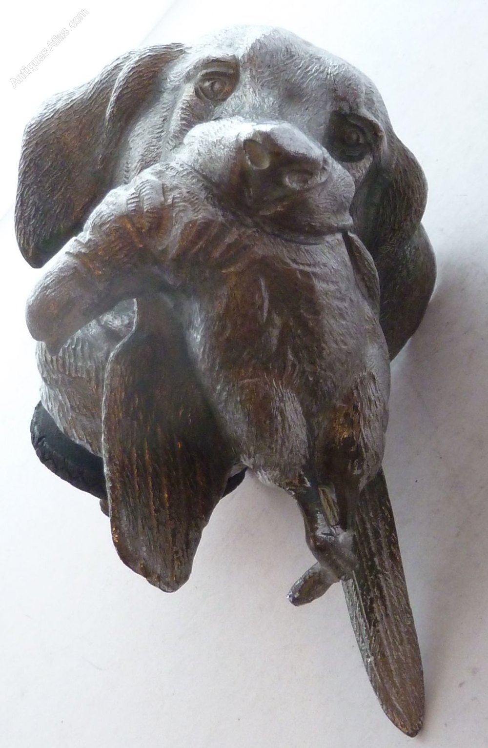 Antiques Atlas - Labrador Retriever 1950-60's Car Mascot