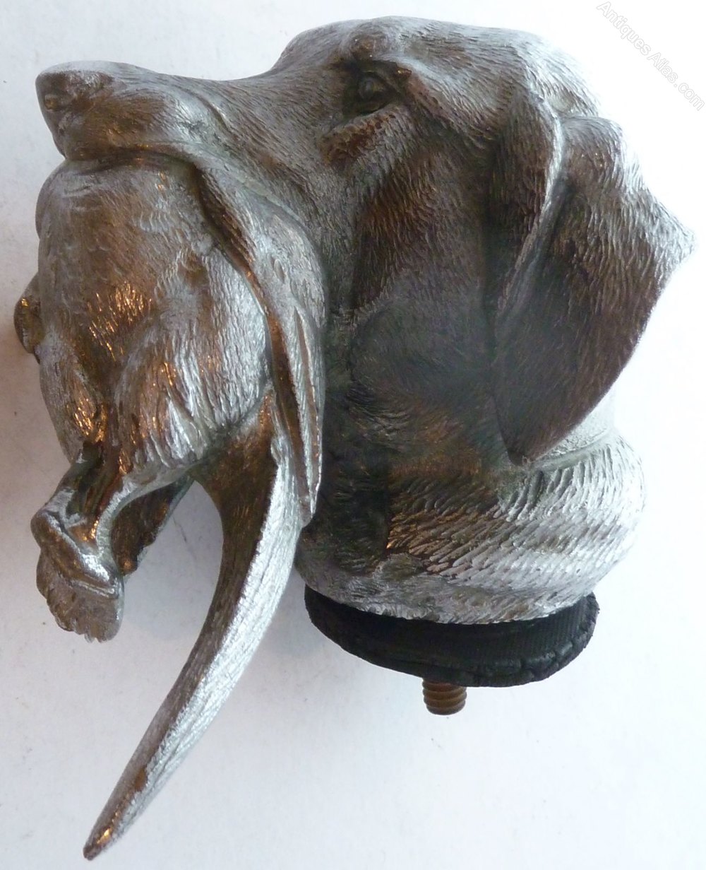 Antiques Atlas - Labrador Retriever 1950-60's Car Mascot