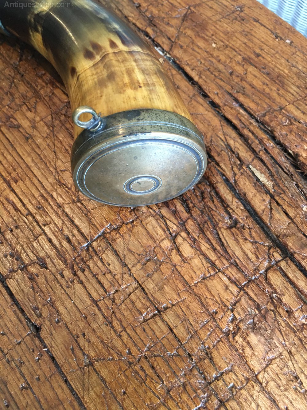 Antiques Atlas - Victorian Horn Powder Flask