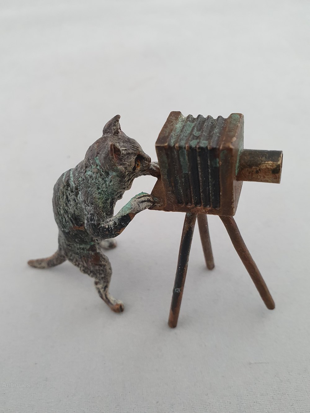 Antiques Atlas - Franz Bergman Bronze Of Cat With Camera