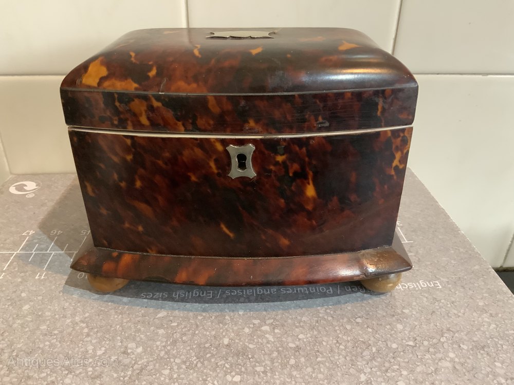 Antiques Atlas - Tortoise Shell Tea Caddy as1076a574 / BBC