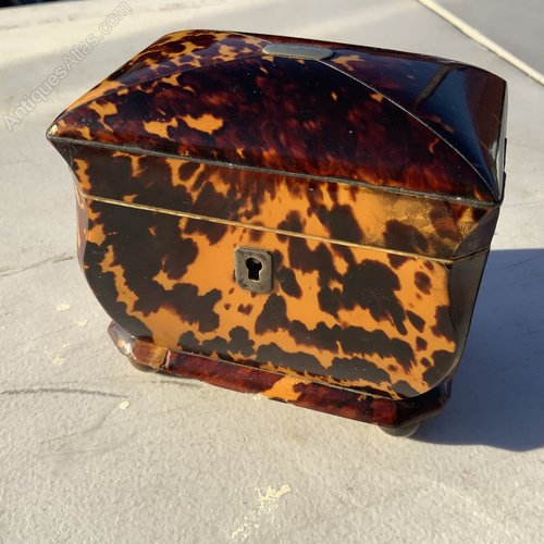Antiques Atlas - Tortoise Shell Tea Caddy Georgian