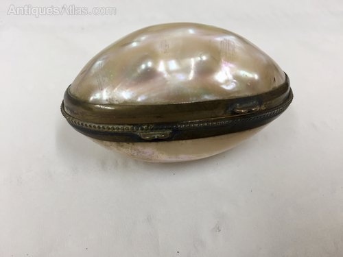 Antiques Atlas - Antique Oval Shell Ring Trinket Case Circa 1870