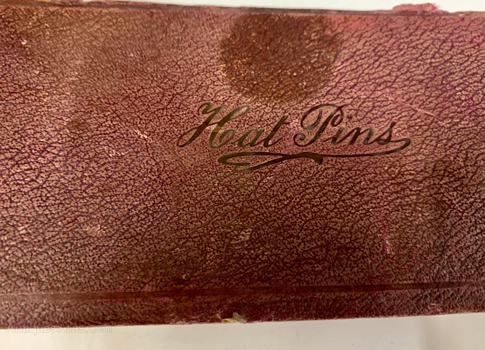 Antiques Atlas - Art Nouveau French Hat Pin Box Circa 1910