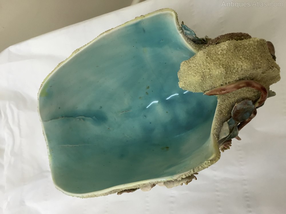 Antiques Atlas - Continental Majolica Conch Shell Circa 1875