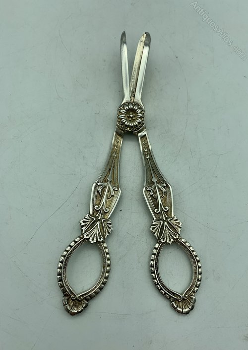 Antiques Atlas - Georgian Style Silver Plated Grape Scissors C.1900