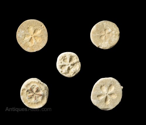 Antiques Atlas - Roman Stone Gaming Counter Group as1213a070 / K216