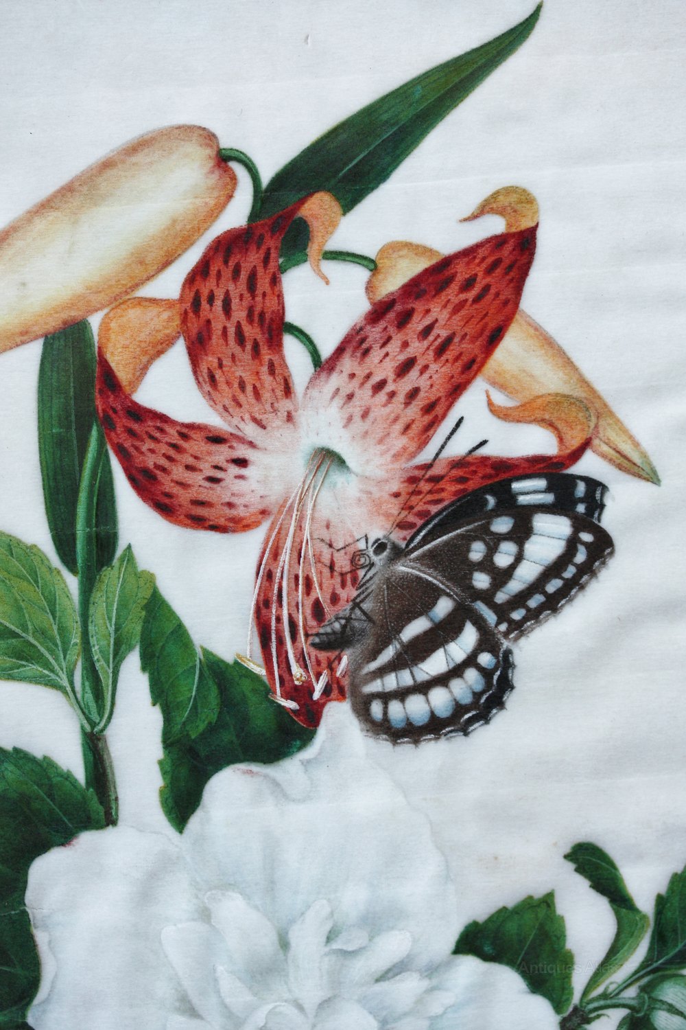 Antiques Atlas - Pair Chinese Pith Rice Paper Paintings Butterflies