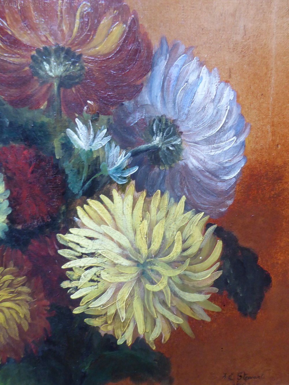Antiques Atlas - Oil On Canvas Chrysanthemums Listed Artist J C
