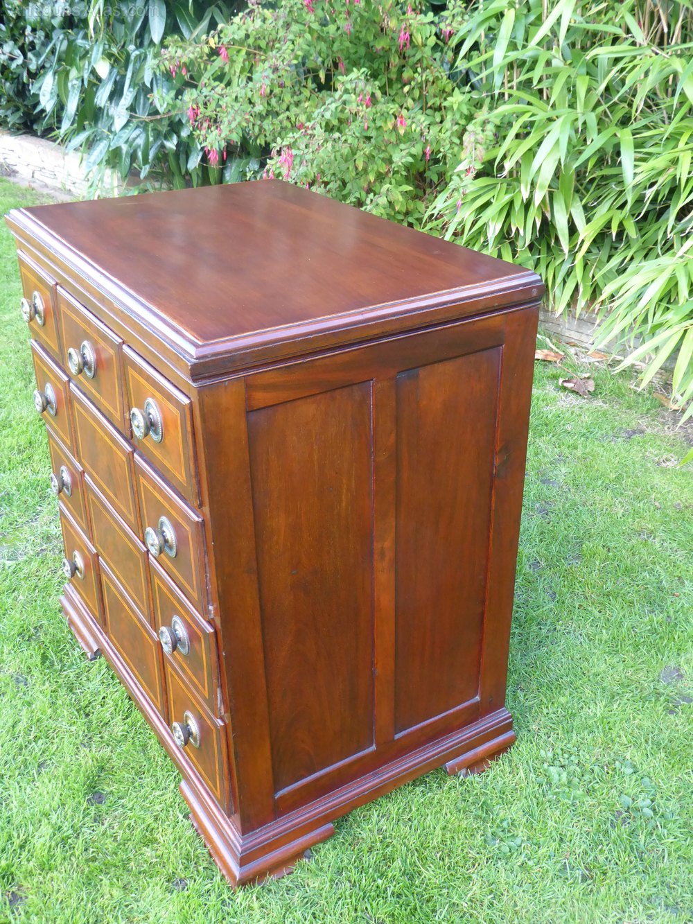 Ships Mahogany Chest Of Drawers Inlaid 1900 - Antiques Atlas