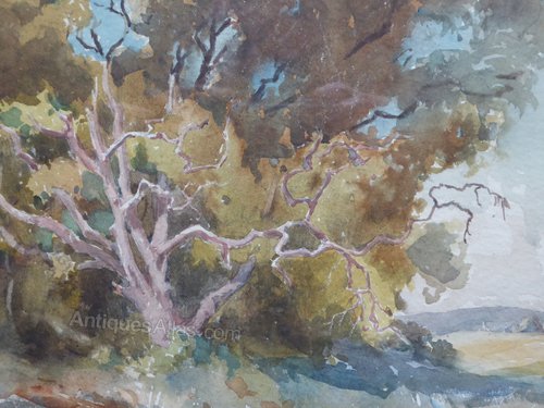 Antiques Atlas - The Old Oak Tree Listed Artist William Hyams ...