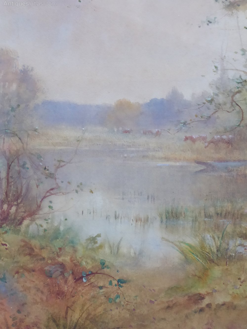 Antiques Atlas - Watercolour Listed Artist Thomas Tayler Ireland