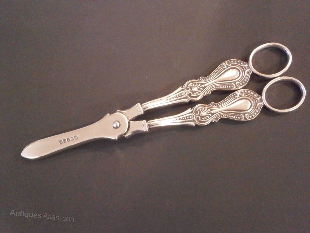 Antiques Atlas - Silver Plate Grape Scissors By Dixons, Sheffield