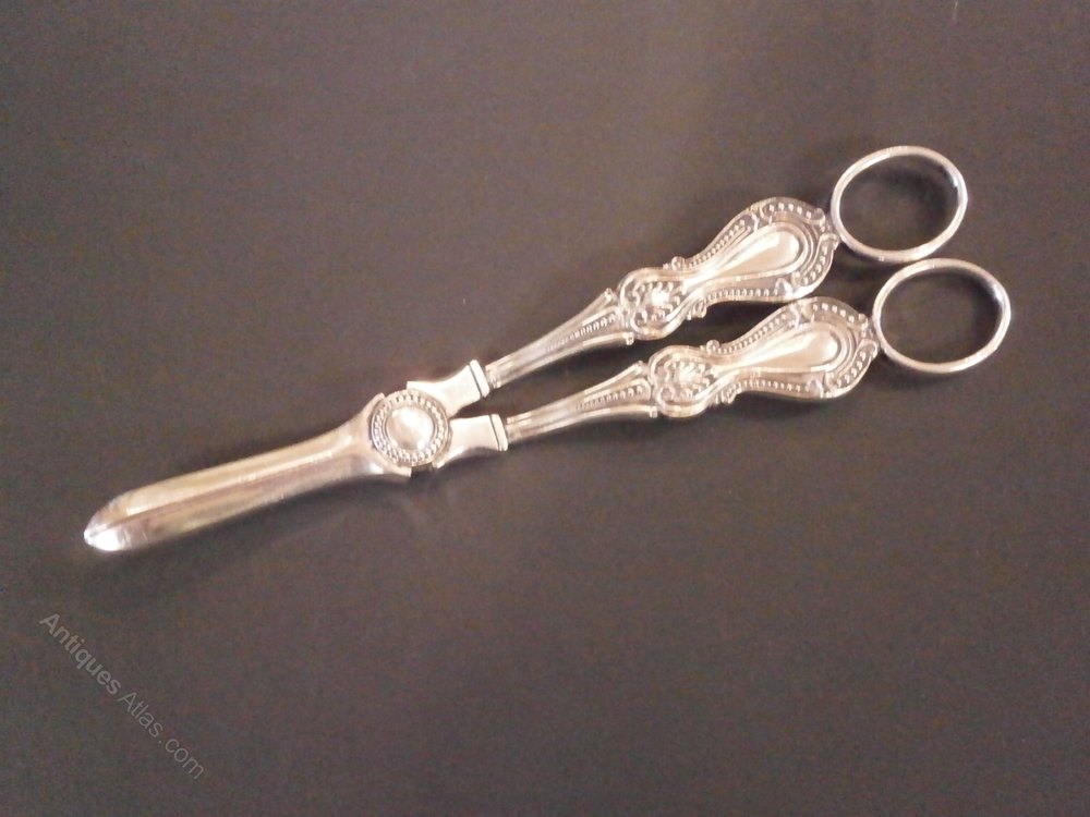 Antiques Atlas - Silver Plate Grape Scissors By Dixons, Sheffield