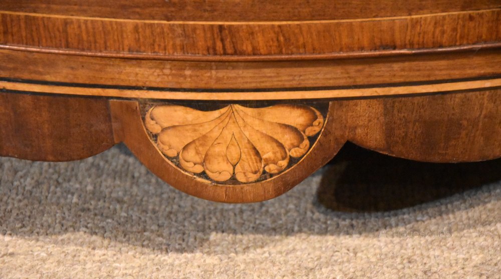 18th Century Serpentine Chest Of Drawers Conch Shell - Antiques Atlas