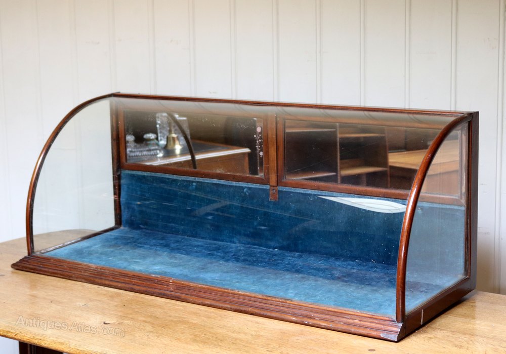 19th Century Counter Top Display Cabinet - Antiques Atlas