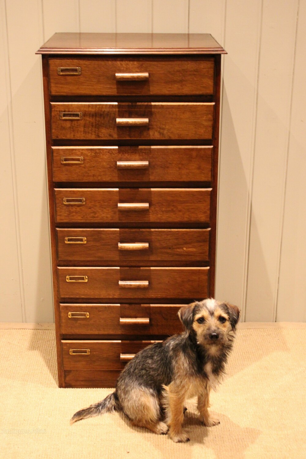 Tall Oak Chest Of Office Drawers as294a6417 - Antiques Atlas