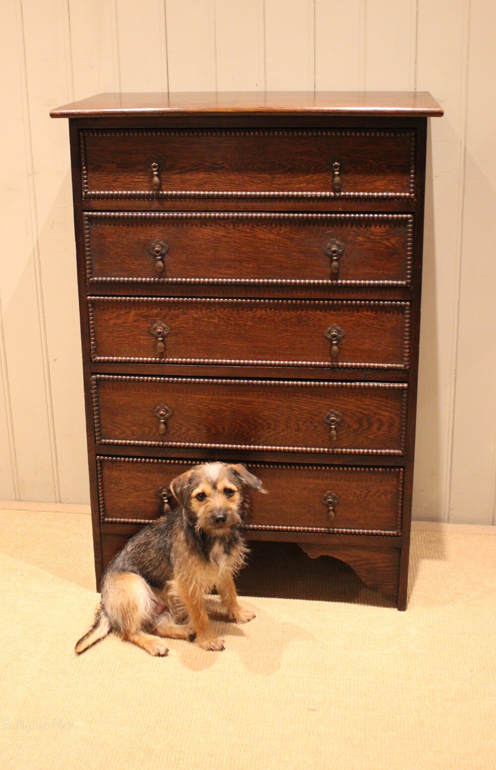 Tall Solid Oak Chest Of Drawers as294a6455 - Antiques Atlas
