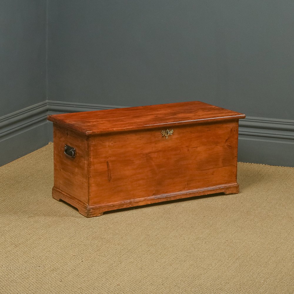English Victorian Pine Flat-Top Chest (c. 1840) - Antiques Atlas